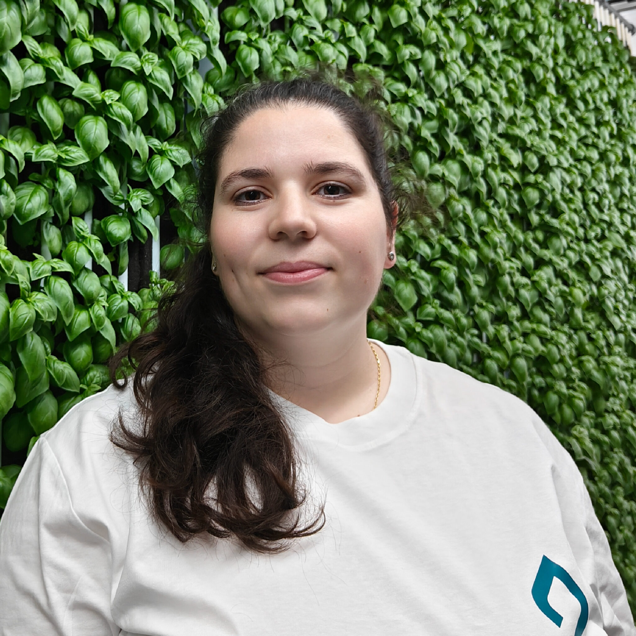 Neboda | Agricultura vertical de interior